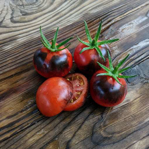 Sunshine Blue Cherry Tomato-Meraki Seeds