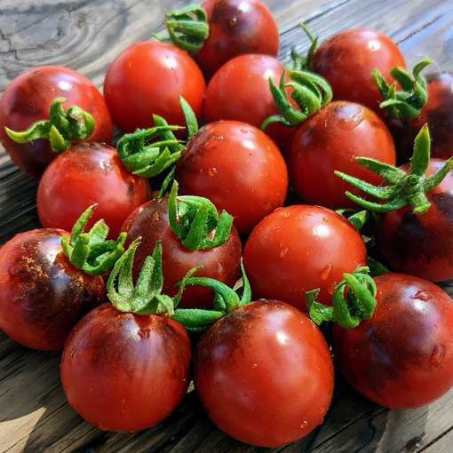 Sunshine Blue Cherry Tomato-Meraki Seeds