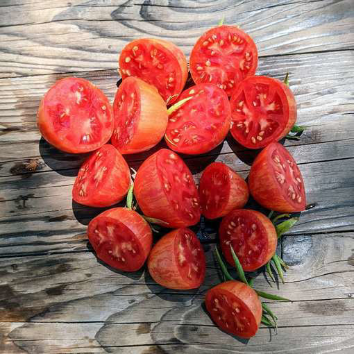 Taste Patio Cherry Tomato-Meraki Seeds
