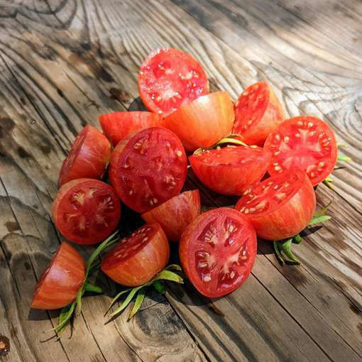 Taste Patio Cherry Tomato-Meraki Seeds