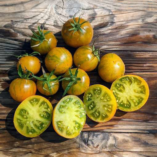 Green Brandy Cherry Tomato-Meraki Seeds