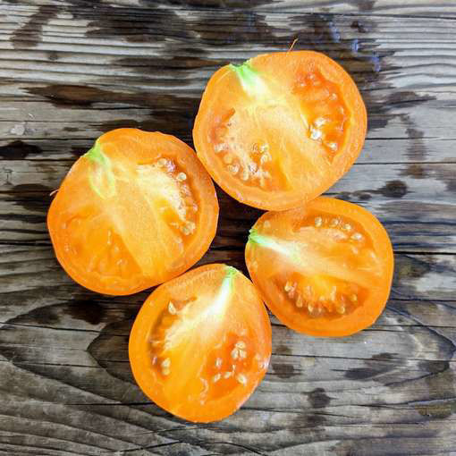 Aladdin’s Lamp Tomato-Meraki Seeds