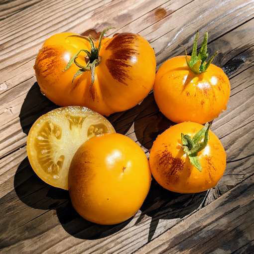 Chocolate Marmalade Tomato-Meraki Seeds