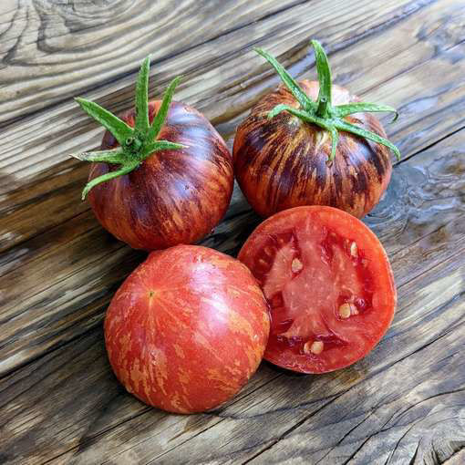 The Musketeers Tomato-Meraki Seeds