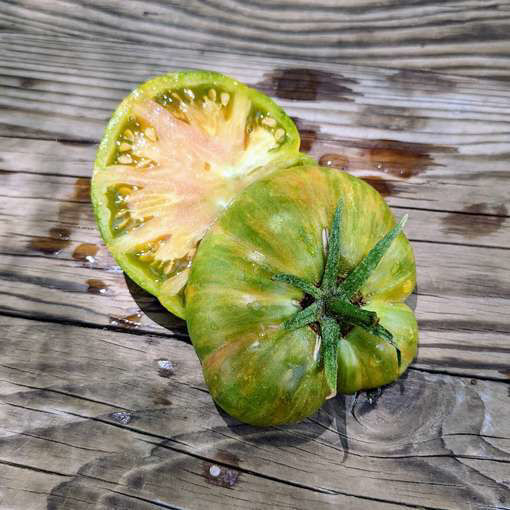 Green Lantern Lights Tomato-Meraki Seeds