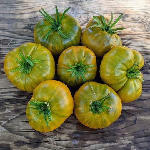 Irish Liqueur Tomato-Meraki Seeds