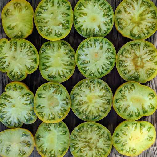 Irish Liqueur Tomato-Meraki Seeds