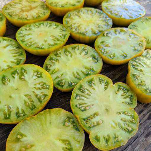 Irish Liqueur Tomato-Meraki Seeds