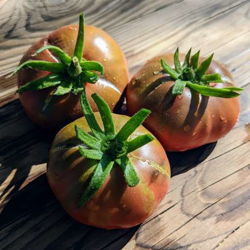 Black Magic Beefsteak Tomato-Meraki Seeds