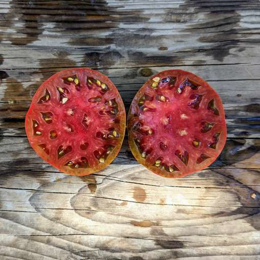 Black Magic Beefsteak Tomato-Meraki Seeds