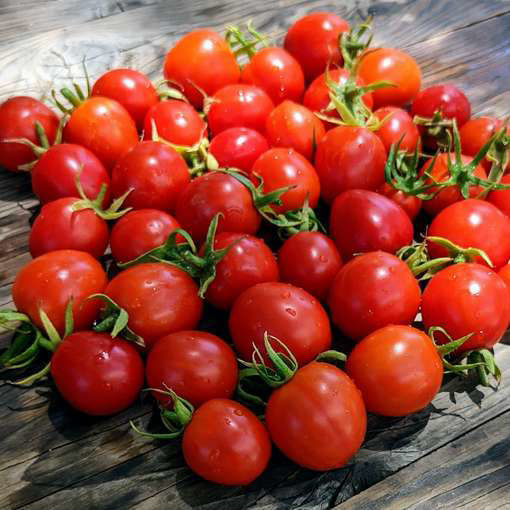Sweet for Children Plum Bush Tomato-Meraki Seeds