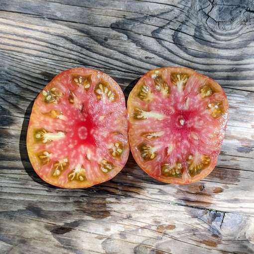 Crazy Calliope Dwarf Tomato-Meraki Seeds