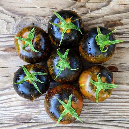 Shadow of Death Dwarf Tomato-Meraki Seeds
