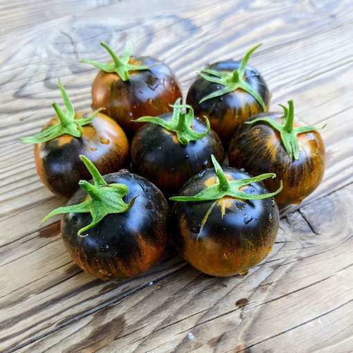 Shadow of Death Dwarf Tomato-Meraki Seeds