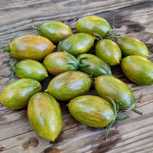 Green Ripper Cherry Tomato-Meraki Seeds