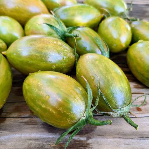 Green Ripper Cherry Tomato-Meraki Seeds