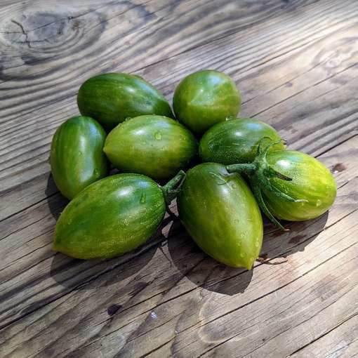 Green Ripper Cherry Tomato-Meraki Seeds