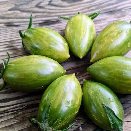 Green Ripper Cherry Tomato-Meraki Seeds