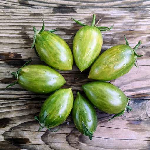 Green Ripper Cherry Tomato-Meraki Seeds
