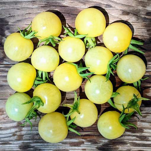 Nightingale Cherry Tomato-Meraki Seeds