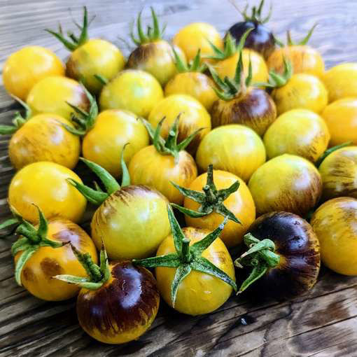 Awesome Emma Cherry Tomato-Meraki Seeds