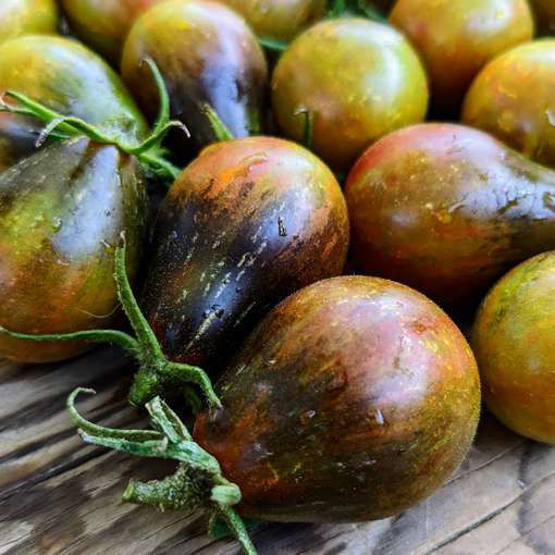 Black Keyes Cherry Tomato-Meraki Seeds