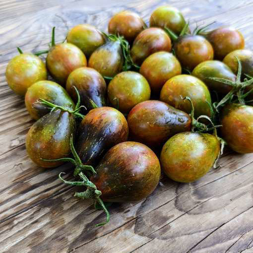 Black Keyes Cherry Tomato-Meraki Seeds