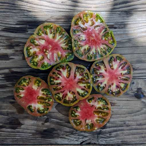 Mocha Splash Tomato-Meraki Seeds
