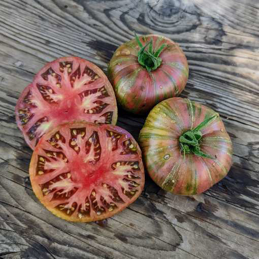 Mocha Splash Tomato-Meraki Seeds