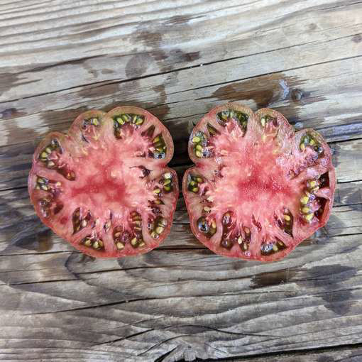 Mocha Splash Tomato-Meraki Seeds