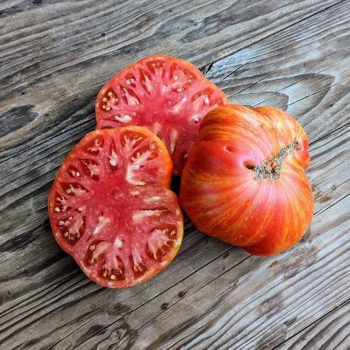 Beefy Red Beefsteak Tomato-Meraki Seeds