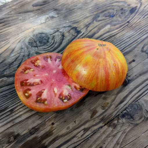 Beefy Red Beefsteak Tomato-Meraki Seeds