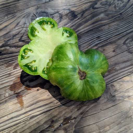 Johanna Beefsteak Tomato-Meraki Seeds