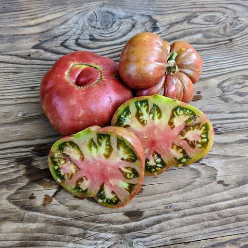 Iva's Purple Rust Beefsteak Tomato-Meraki Seeds
