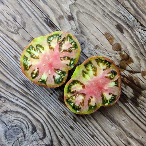 Iva's Purple Rust Beefsteak Tomato-Meraki Seeds