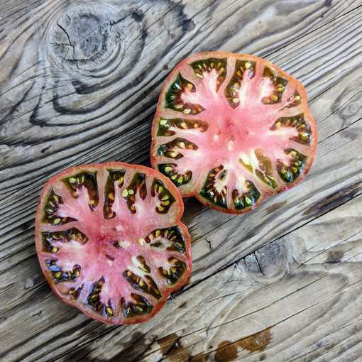 Iva's Purple Rust Beefsteak Tomato-Meraki Seeds