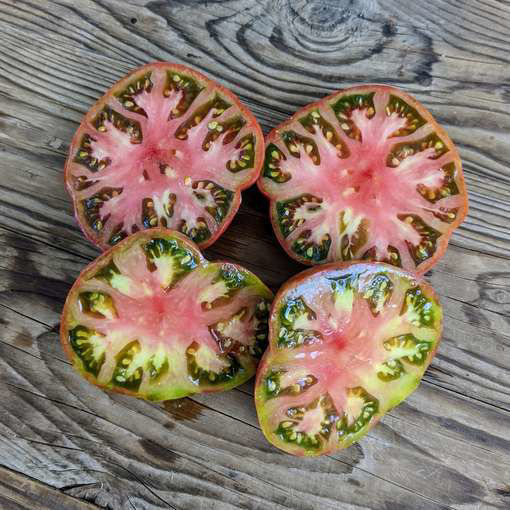 Iva's Purple Rust Beefsteak Tomato-Meraki Seeds
