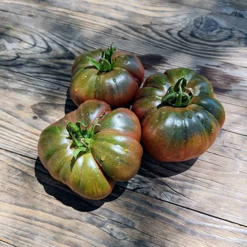 Ridge Runner Beefsteak Tomato-Meraki Seeds