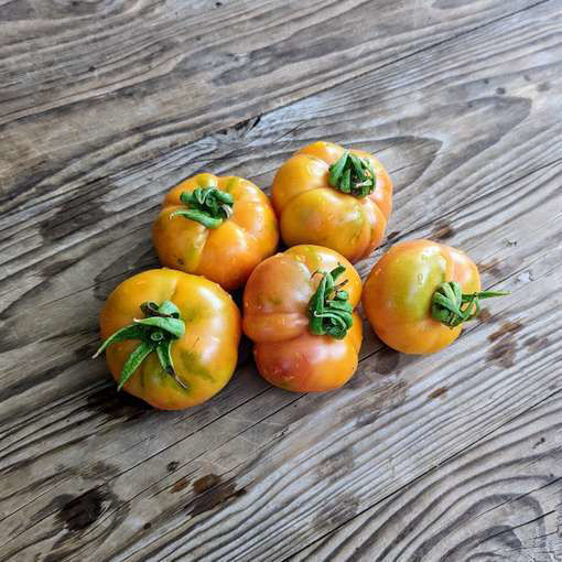 Achatado Longkeeper Tomato-Meraki Seeds