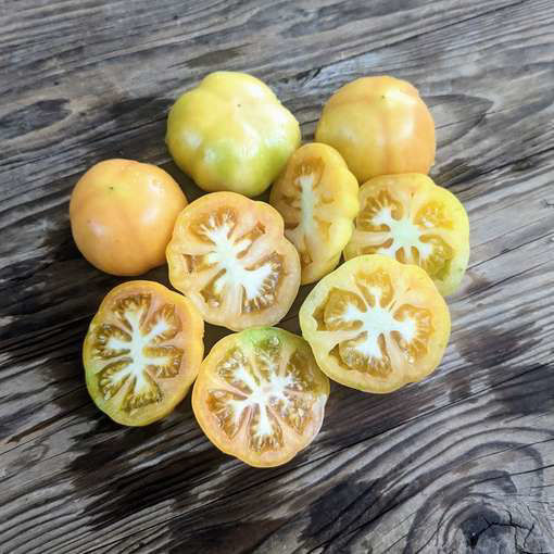Giant Multiflora Longkeeper Tomato-Meraki Seeds