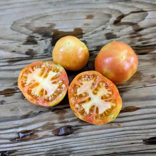 Punta Longkeeper Tomato-Meraki Seeds