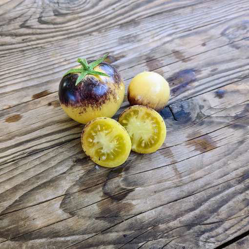 Intergalactic Tomato-Meraki Seeds