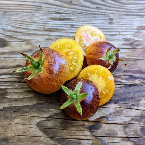 Planet Earth Tomato-Meraki Seeds