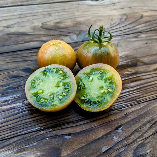 Meraki’s Mini Grub Tomato-Meraki Seeds